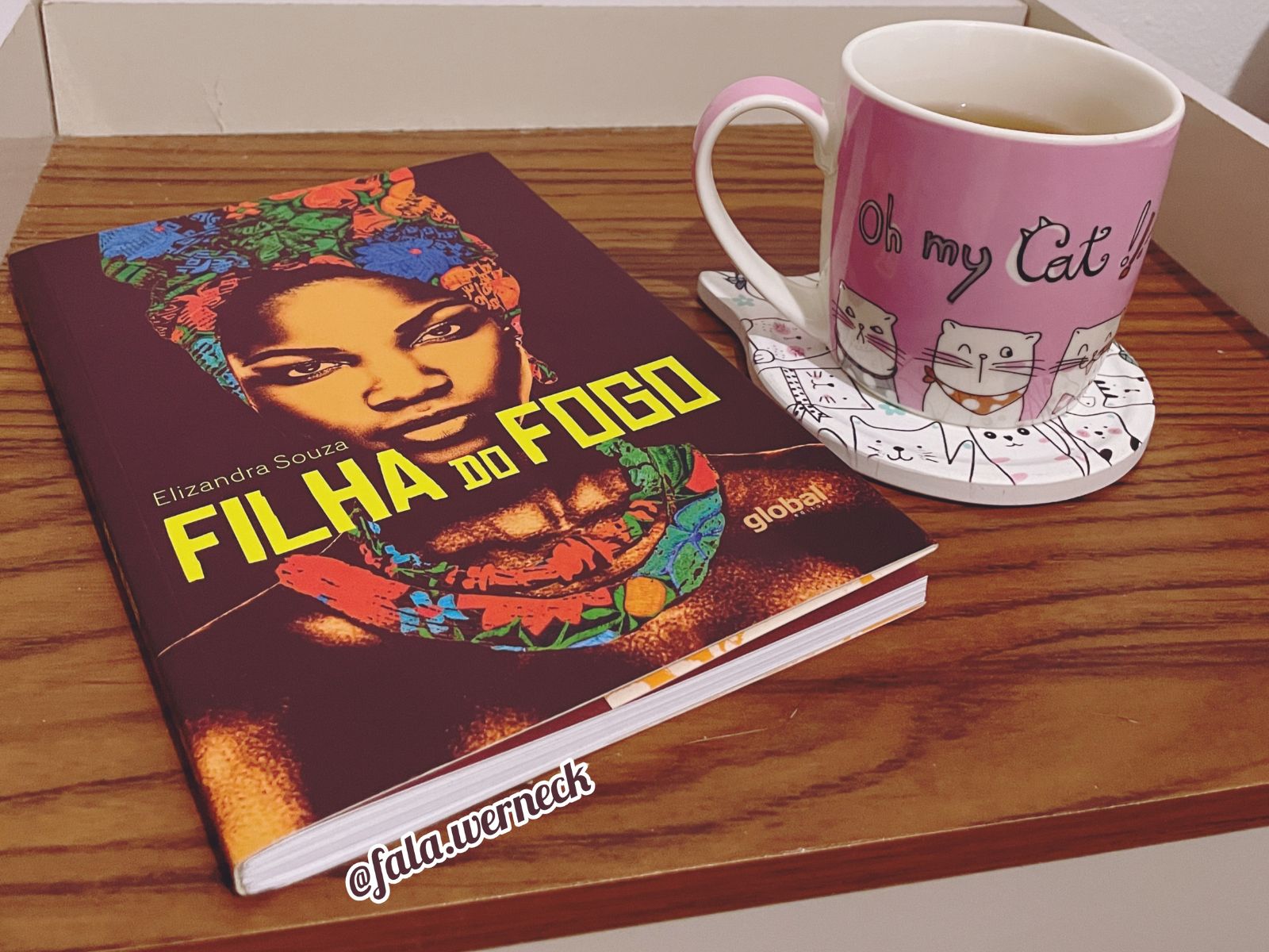 #QuemLeuIndica – Resenha de Filha do fogo, de Elizandra Souza – Por ...